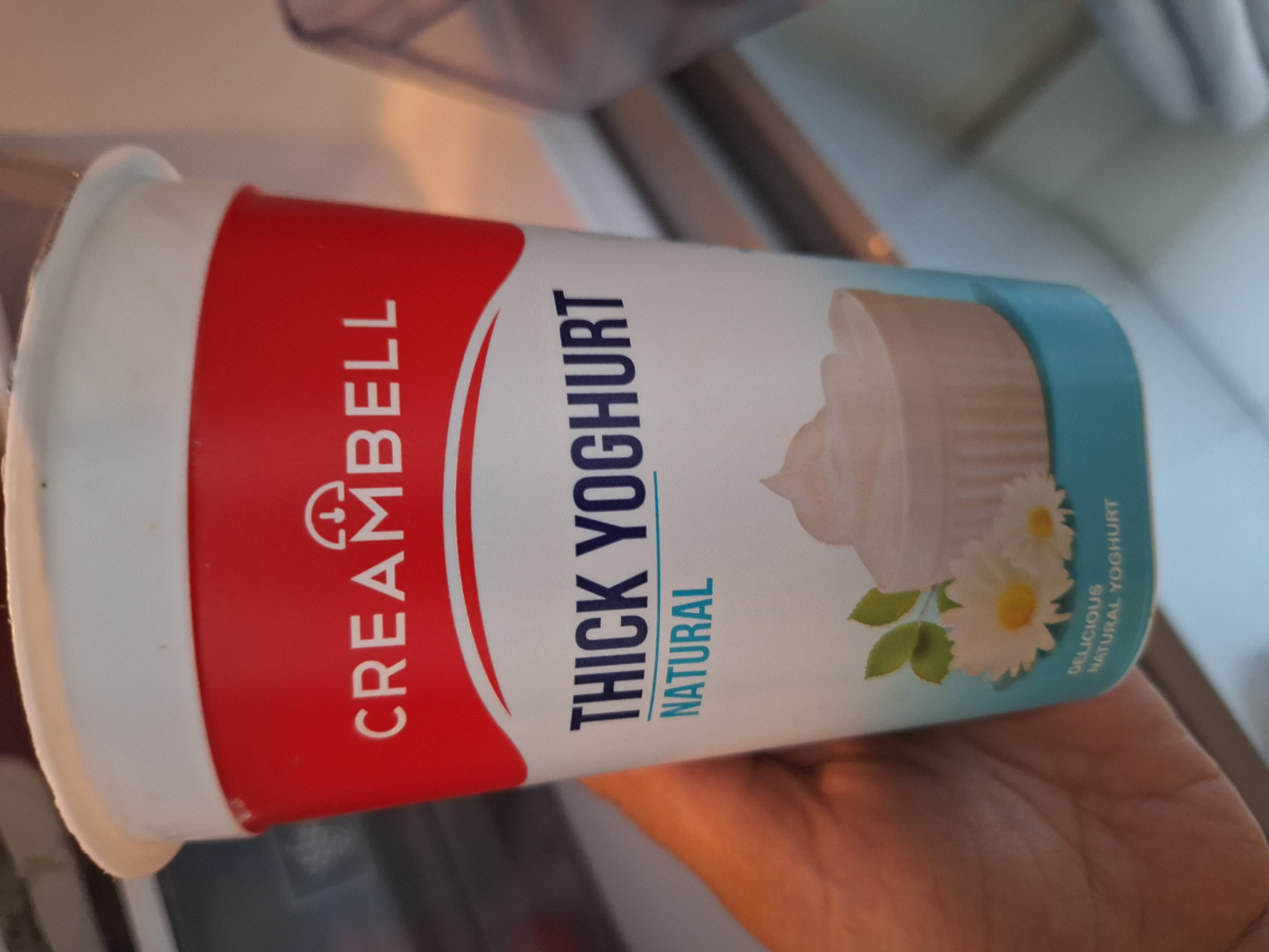 creambell thick yoghurt natural is not Halal, Install Mustakshif