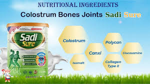 Check Halal status of Sadi Sure Strong Joint and Bone Milk 400g ...